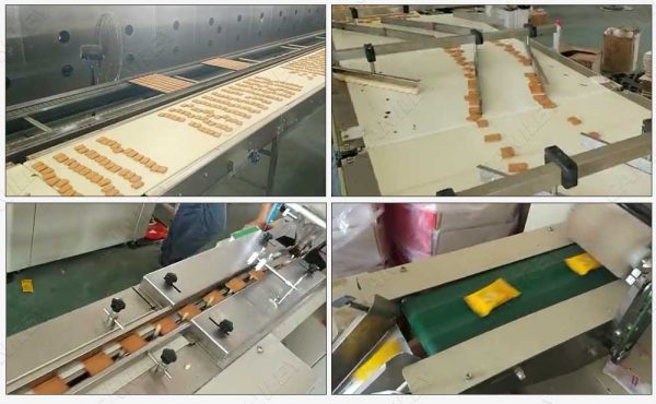 Multipack Cracker Packing Machine-Flow Wrapping Machine